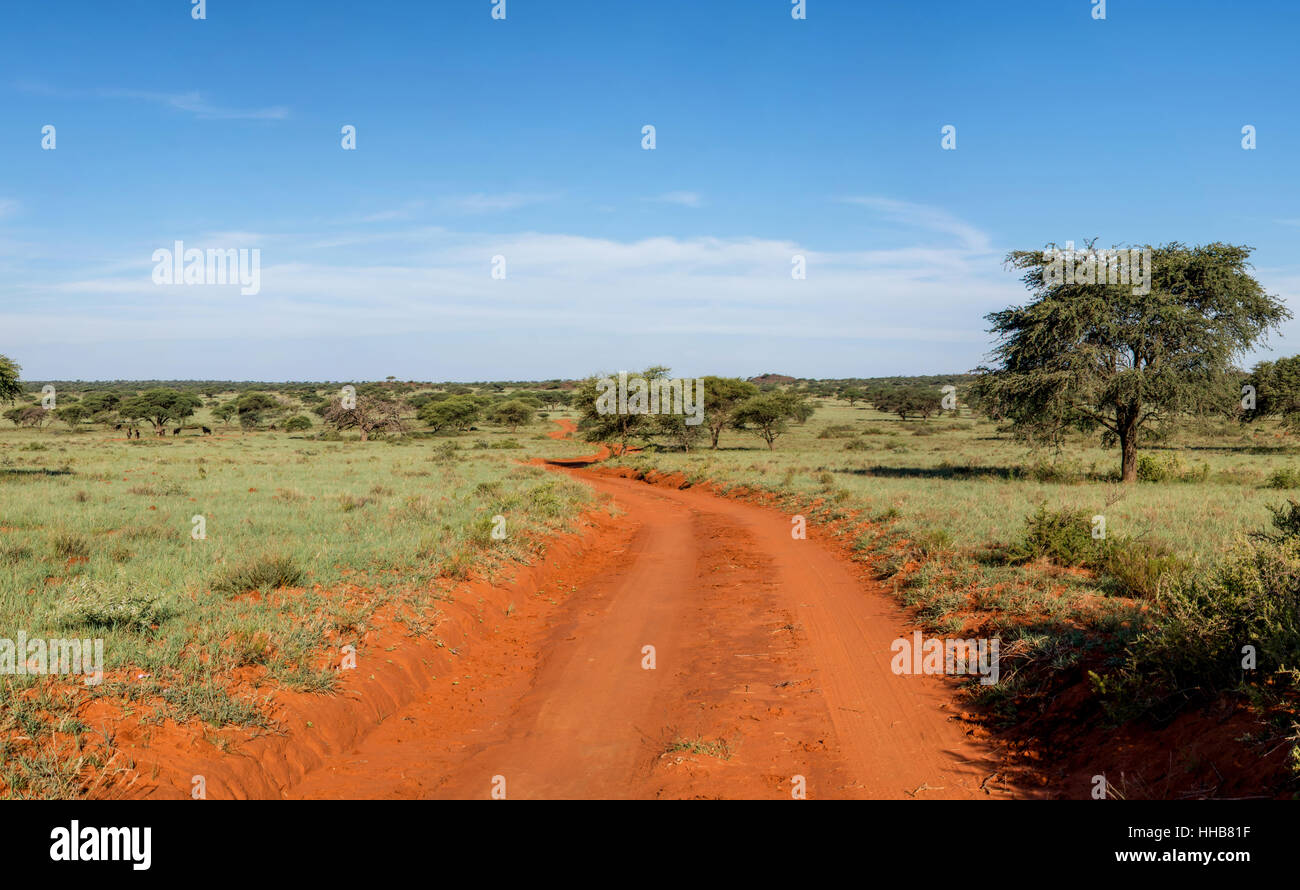 A red dirt track stretches off into the distance in the Northern Cape ...