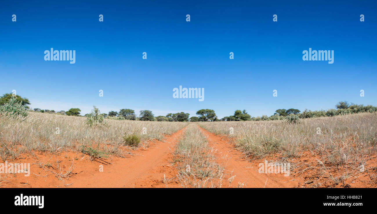 A red dirt track stretches off into the distance in the Northern Cape ...