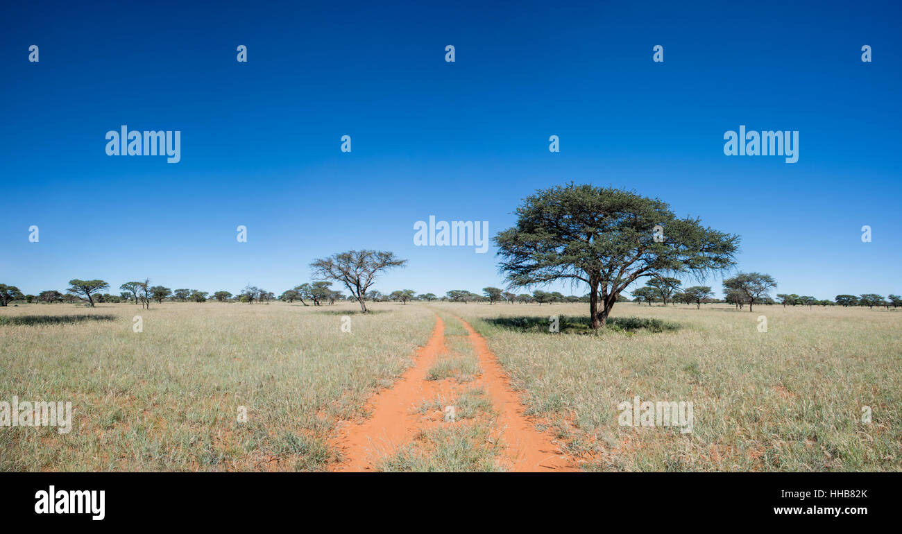 A red dirt track stretches off into the distance in the Northern Cape ...