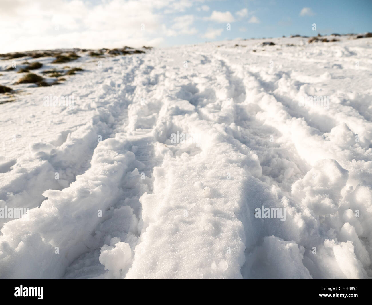 footsteps in the crisp snow in Disley, Cheshire after heavy snowfall ...