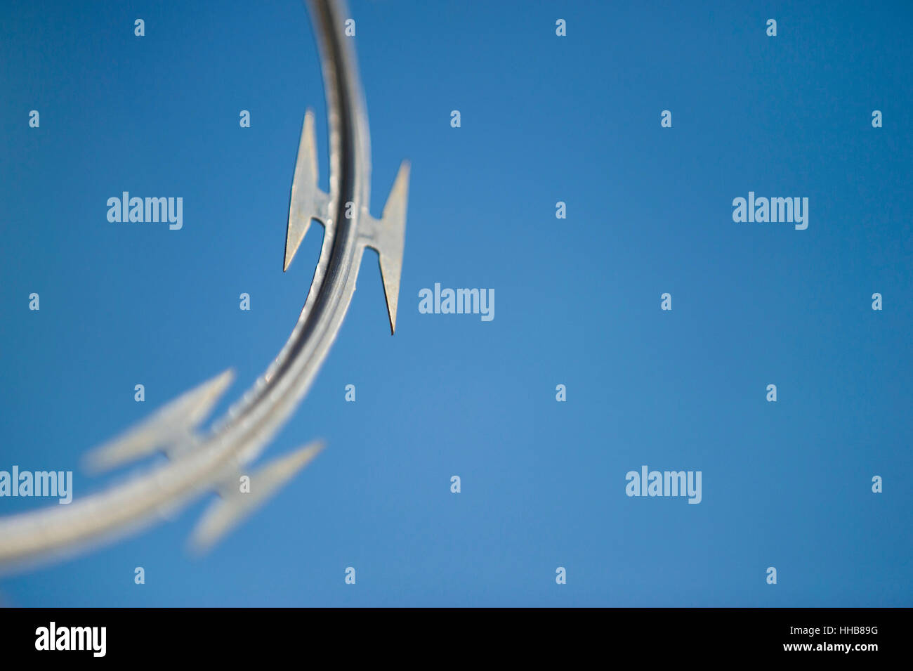 A detailed view of razorwire Stock Photo - Alamy