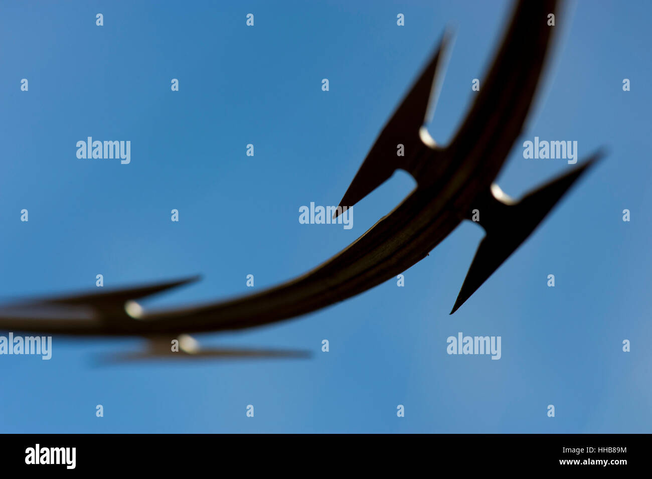 A detailed view of razorwire Stock Photo - Alamy