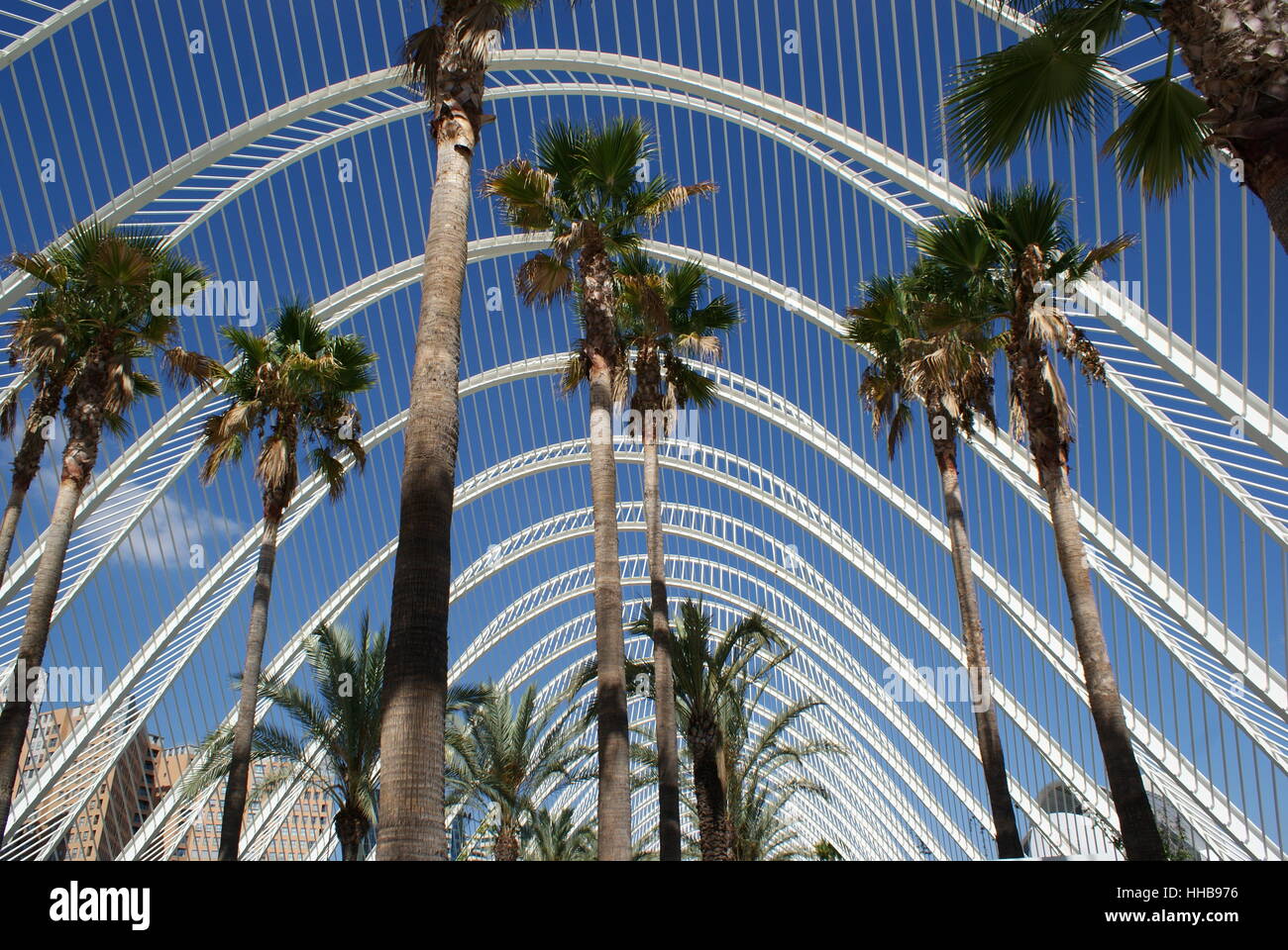 Umbracle sculptures hi-res stock photography and images - Alamy