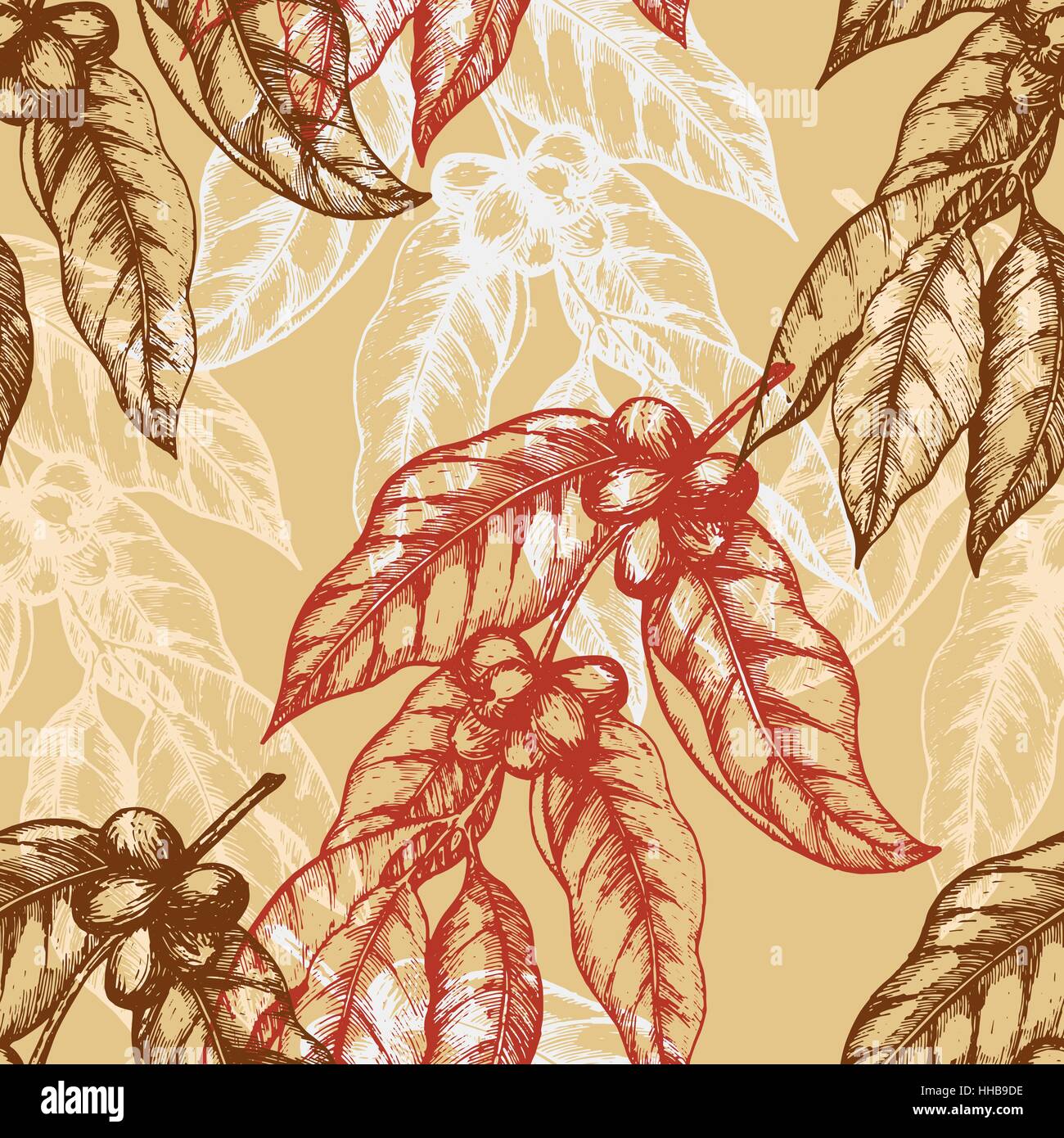 Seamless pattern based on engraving illustration of coffee branches with beans and leaves. Great ...