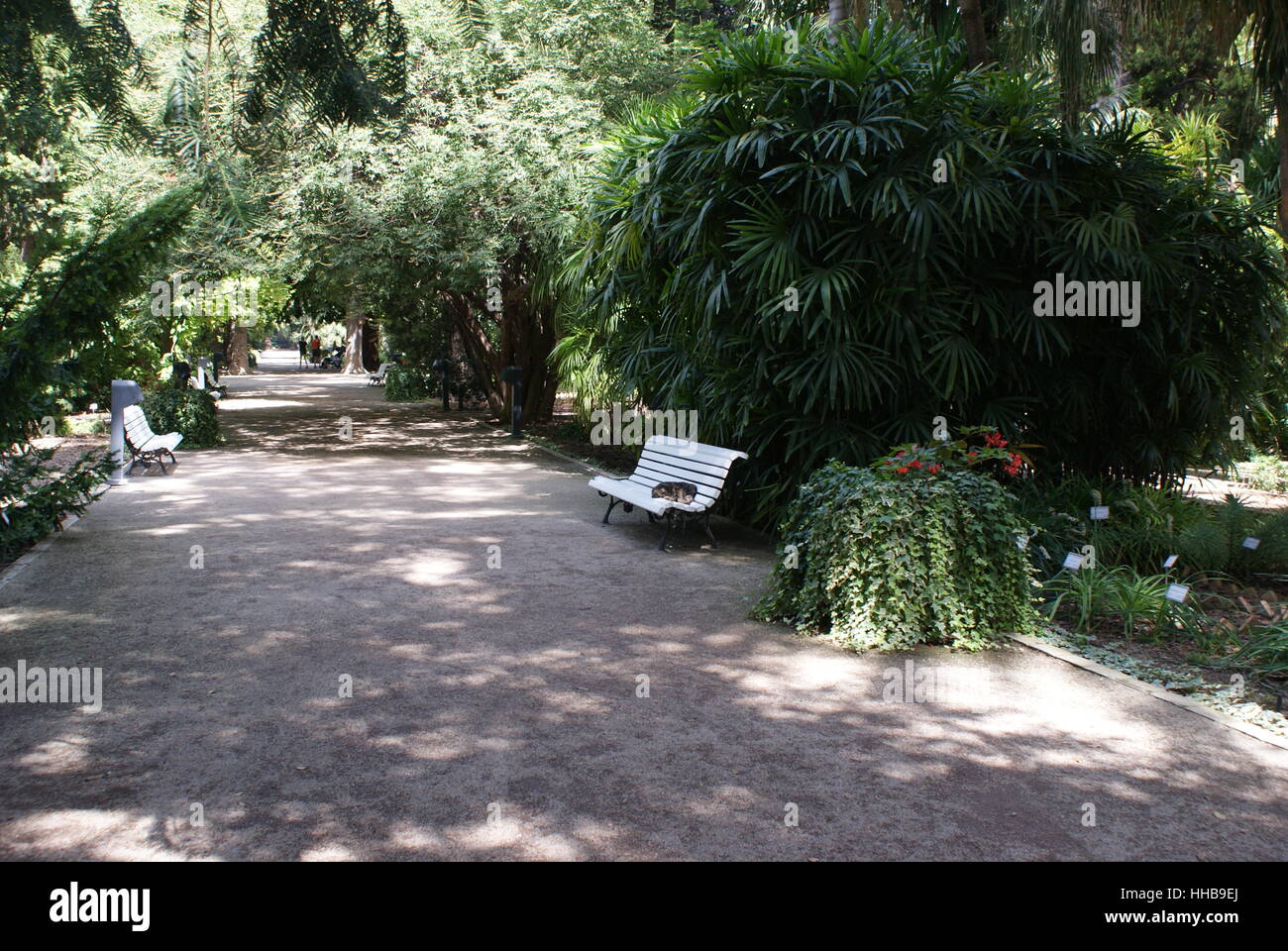Valencia botanic gardens hi-res stock photography and images - Alamy