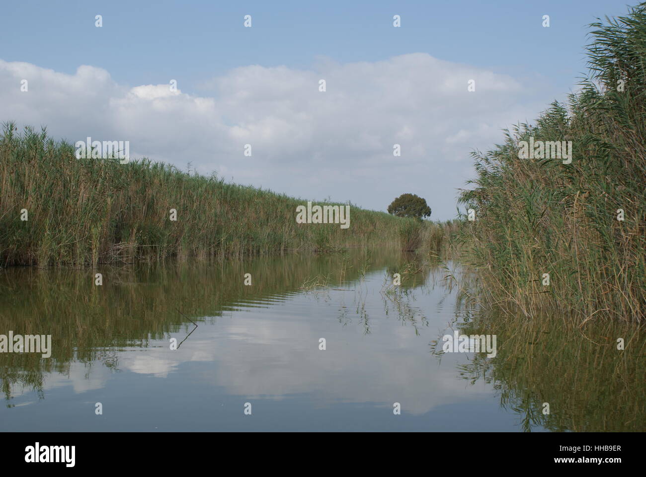 Parque natural de la albufera hi-res stock photography and images - Alamy