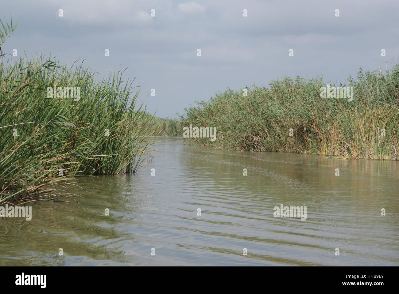 Albufera Natural Park, Valencia, Spain Stock Photo - Alamy
