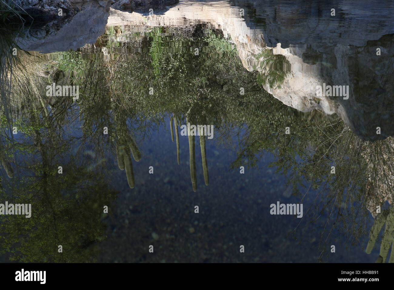 Spring in desert hi-res stock photography and images - Alamy