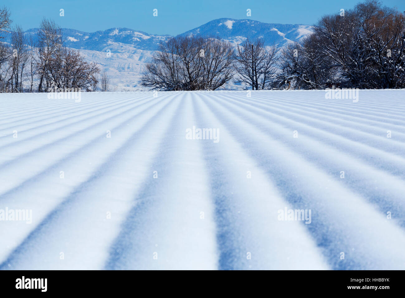 Leading lines in fresh snow Stock Photo - Alamy