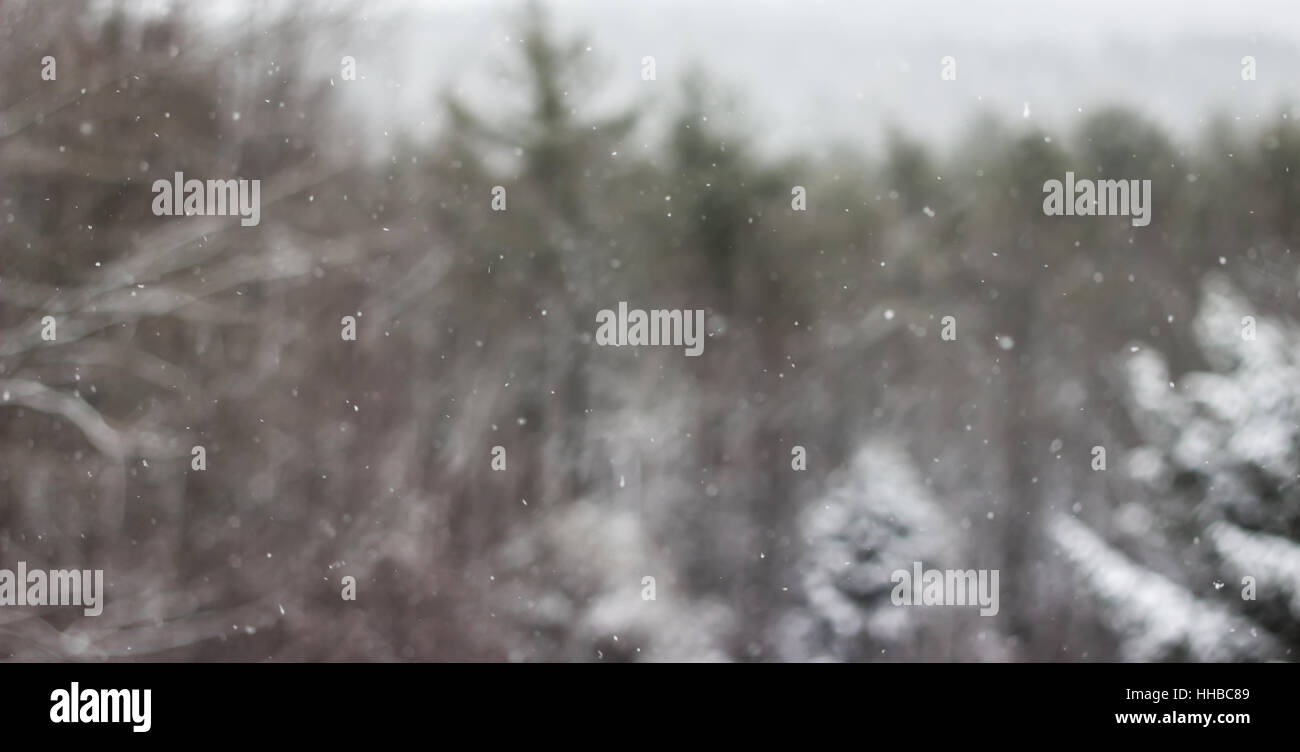 Falling snowing hi-res stock photography and images - Alamy