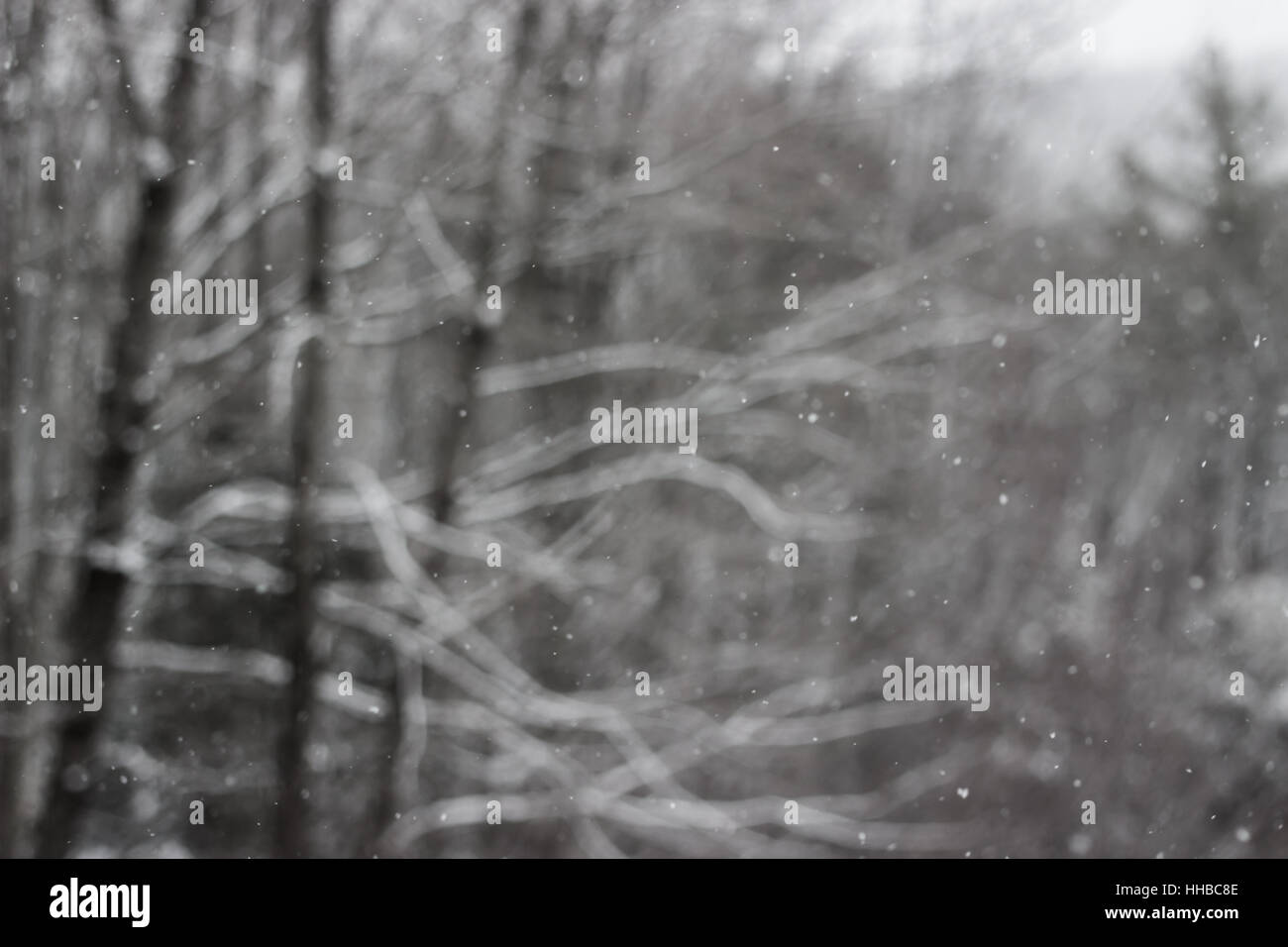 light Snow Falling Stock Photo - Alamy