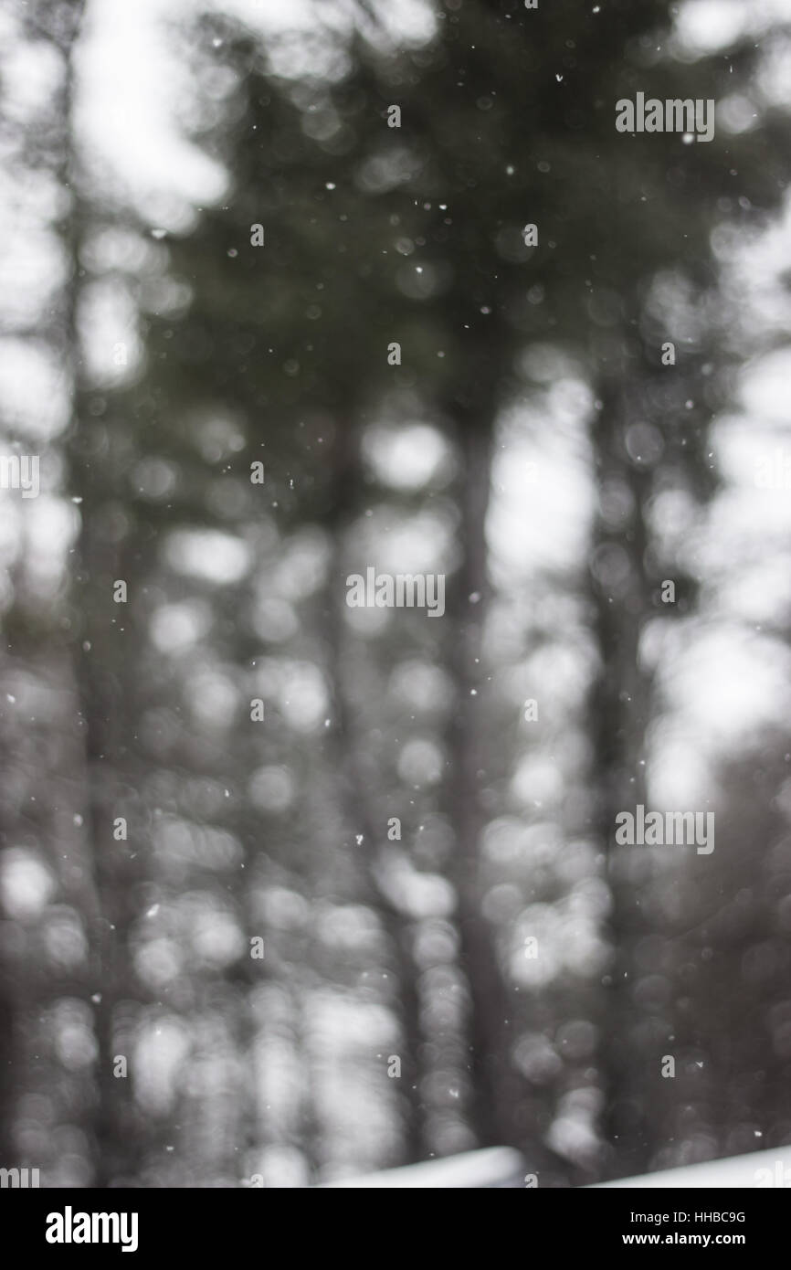 light Snow Falling Stock Photo - Alamy