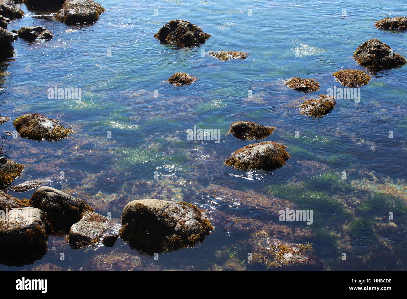 Point loma tide pools hi-res stock photography and images - Alamy