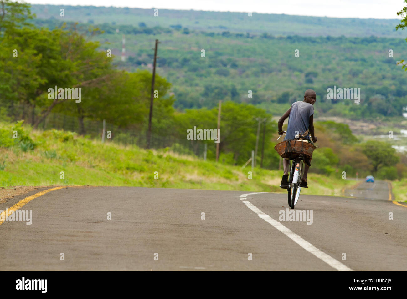 Goat on bicycle hi-res stock photography and images - Alamy