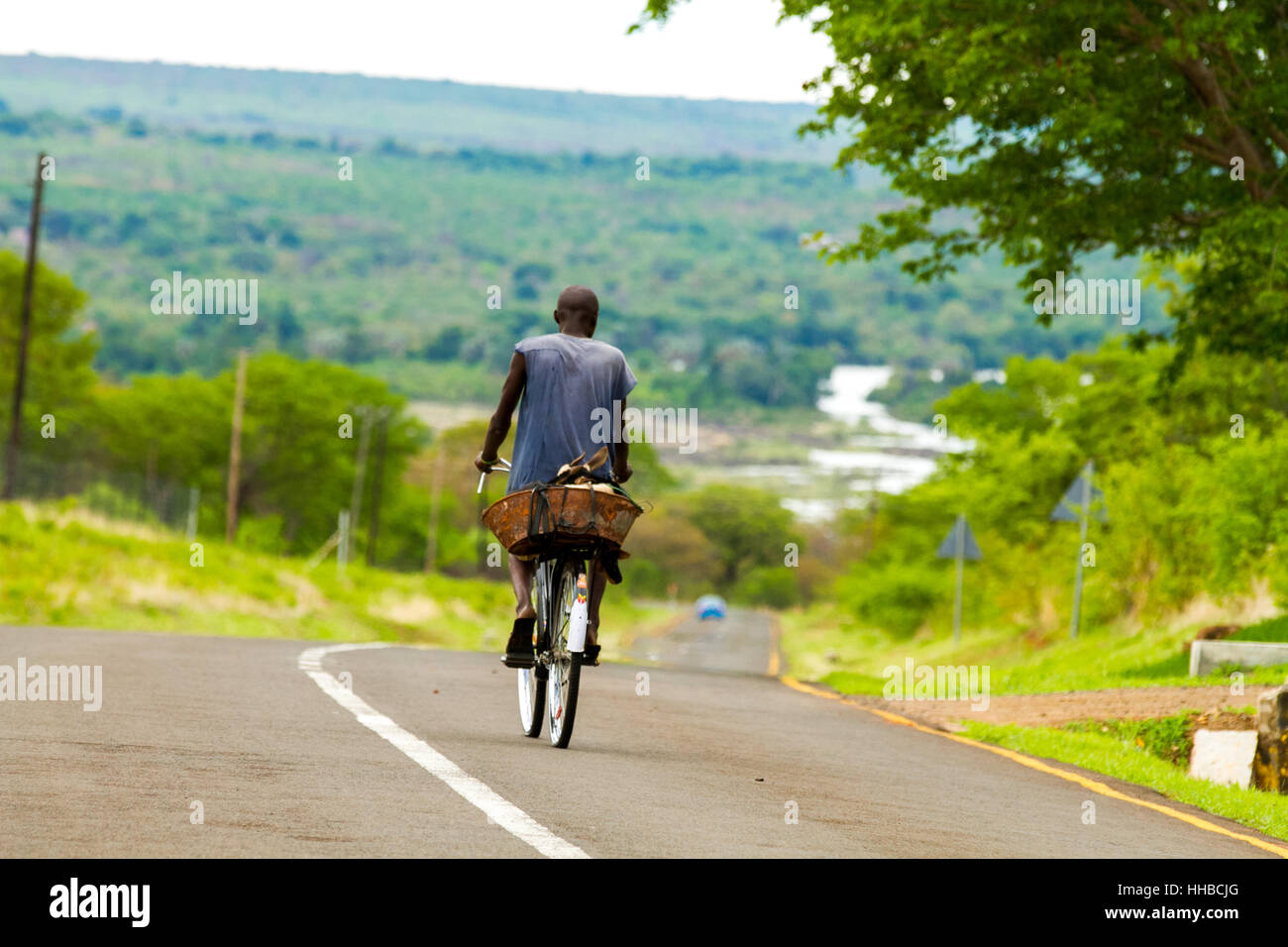Man riding bike with goat overlooking the Zambezi river in ...