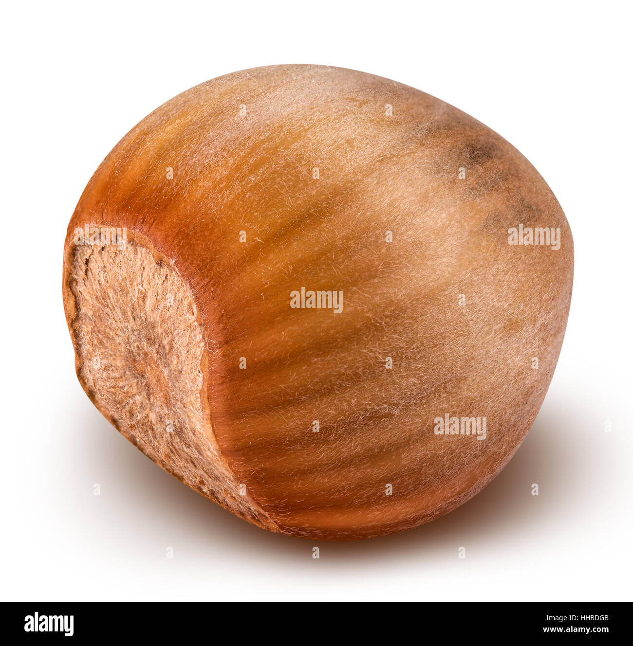 hazelnut isolated on white backround with clipping path Stock Photo - Alamy