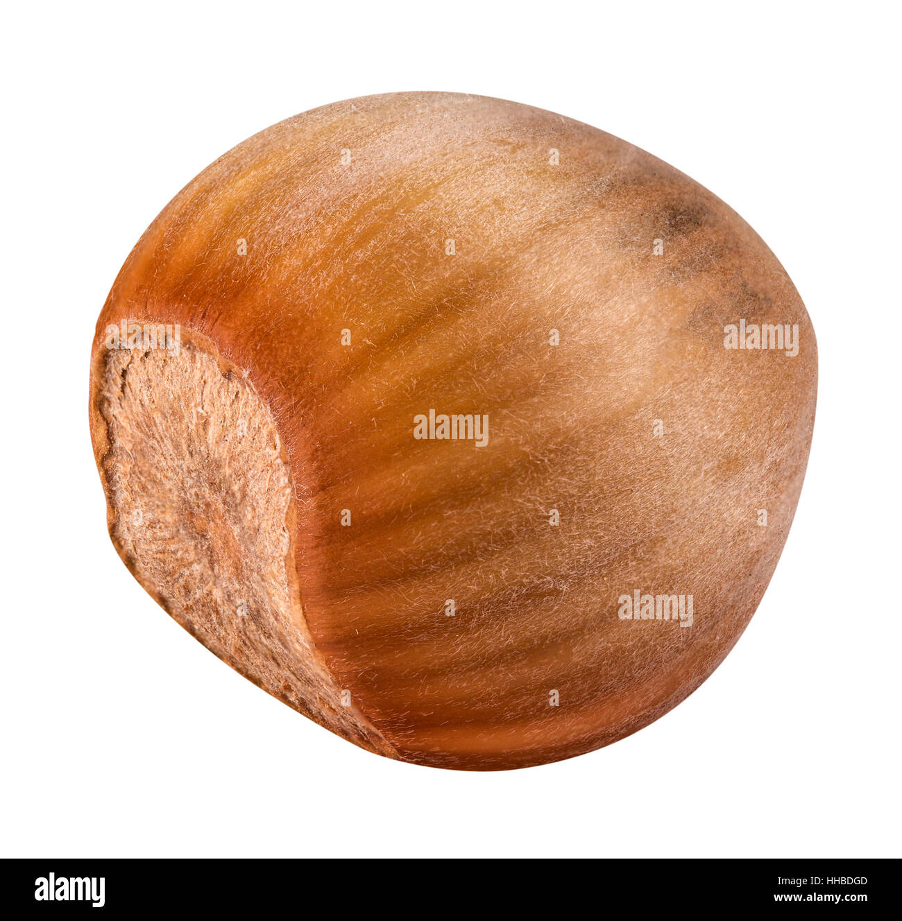 hazelnut isolated on white backround with clipping path Stock Photo - Alamy