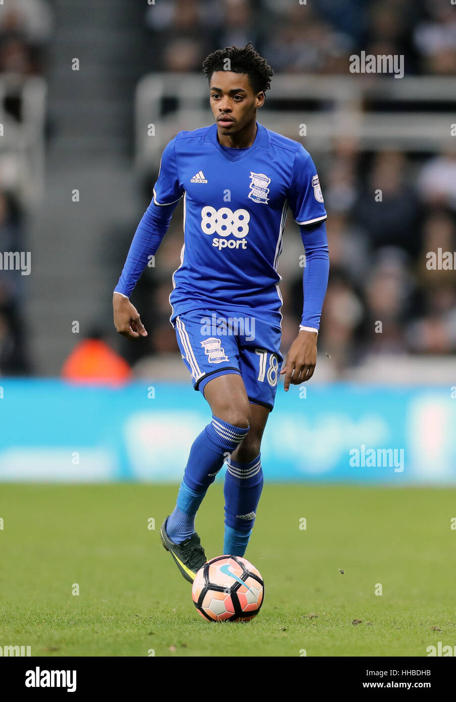 Reece brown hi-res stock photography and images - Alamy