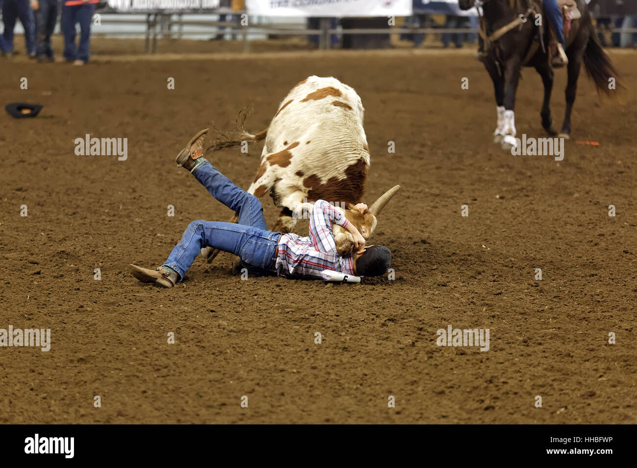 A young cowboy competes in the high school bull wrestling event at the ...