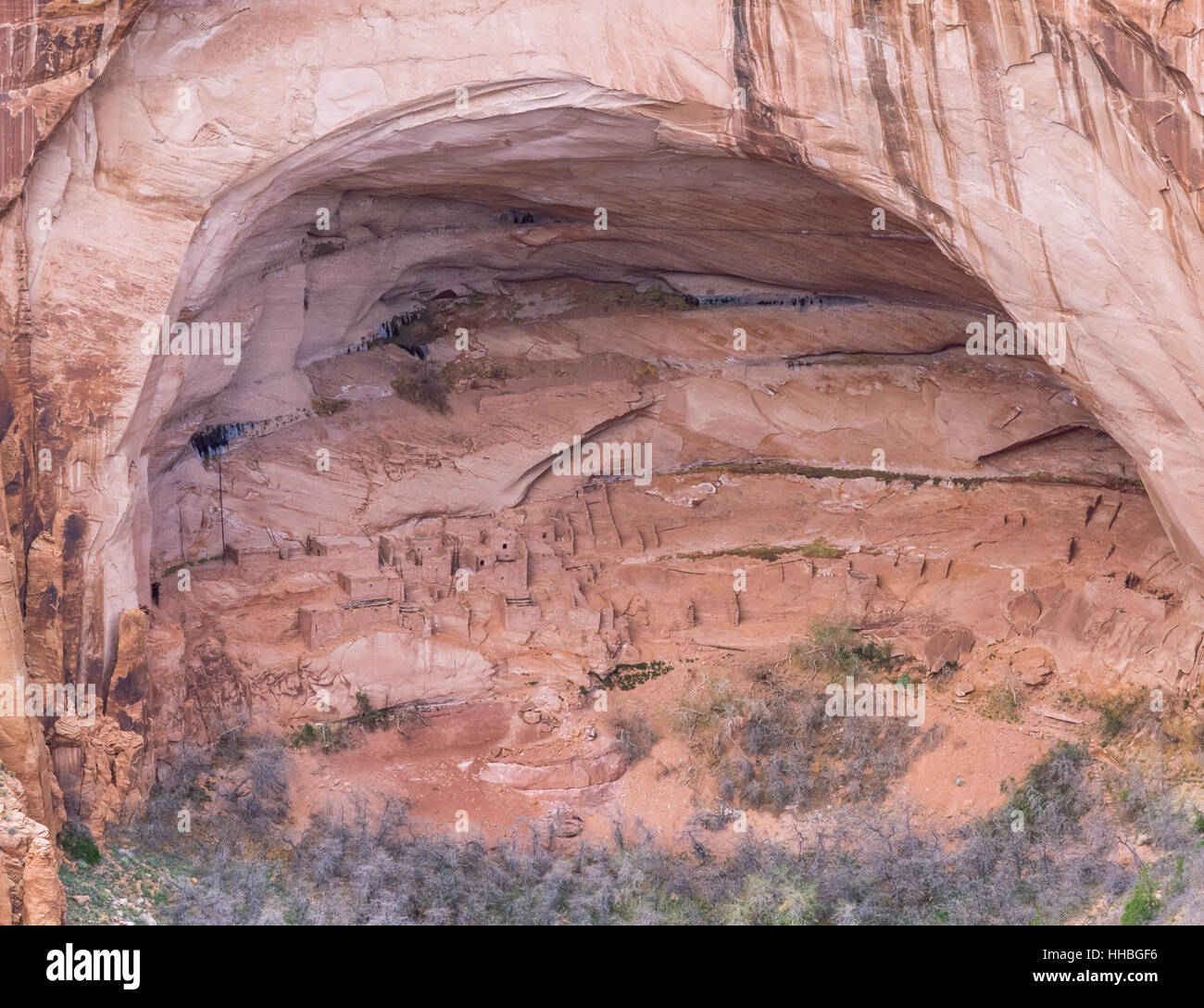betatakin cliff dwellings in a large sandstone alcove on the navajo ...