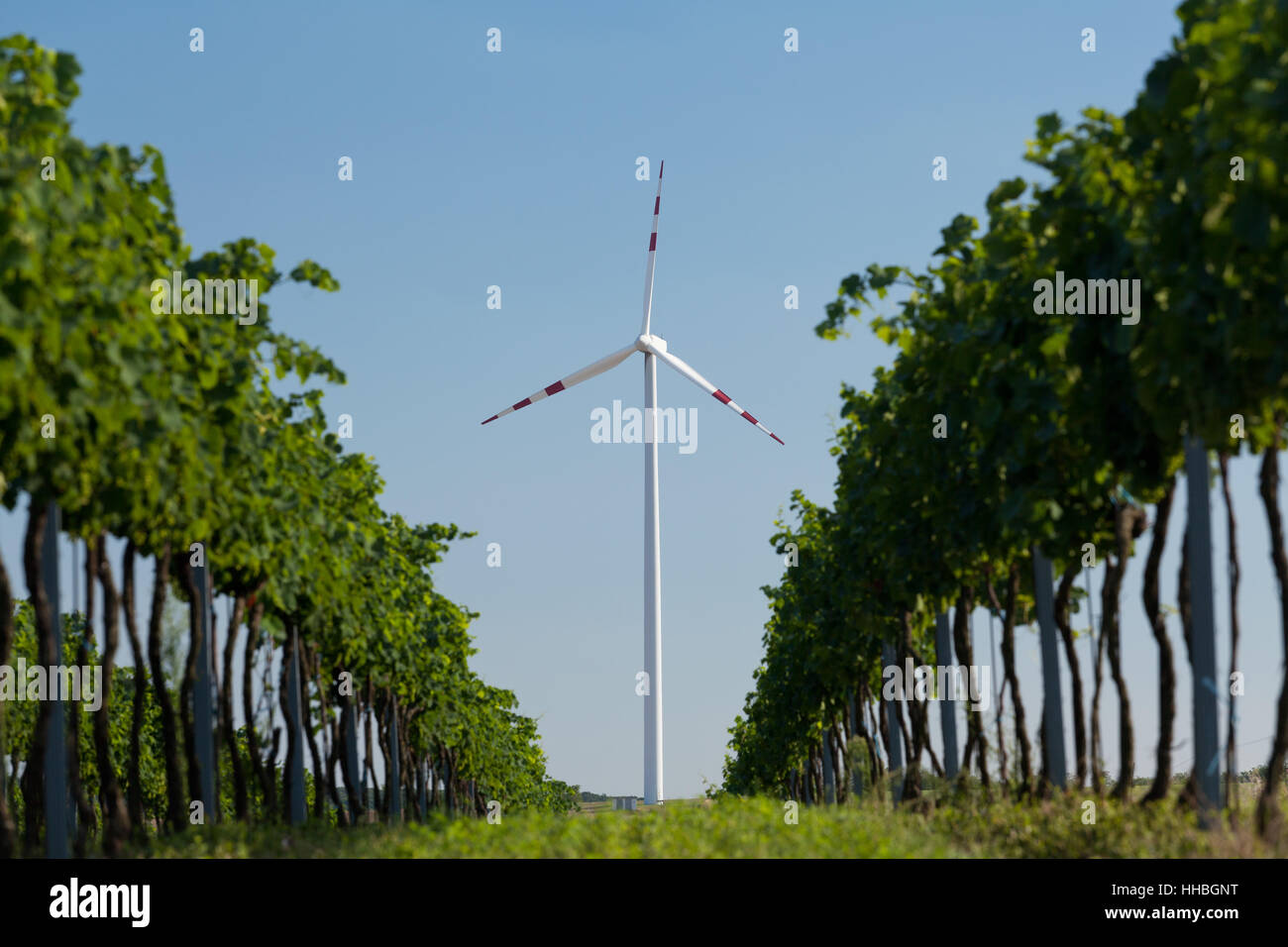 environment, enviroment, generation of electricity, agriculture ...