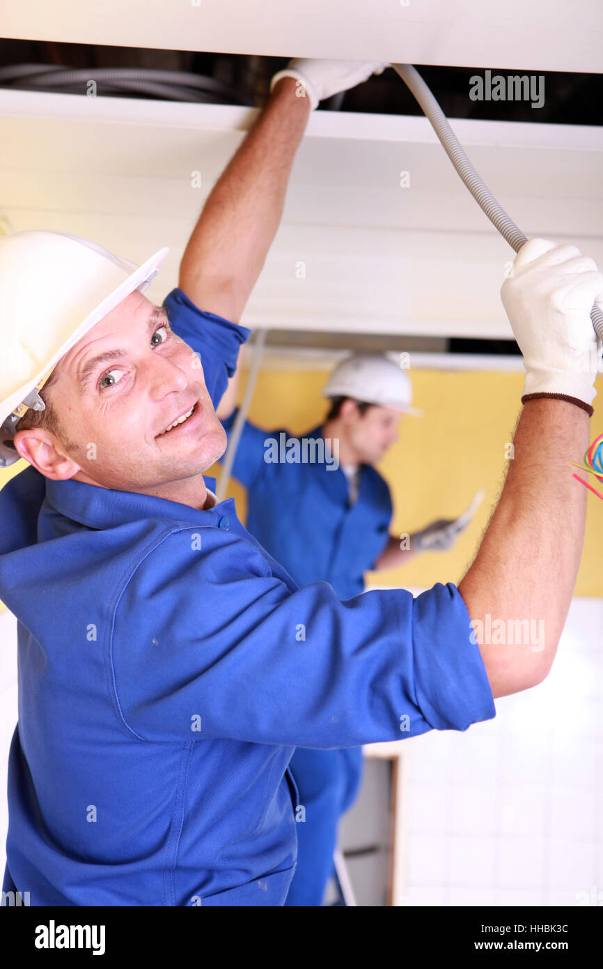 humans, human beings, people, folk, persons, human, human being, men ...