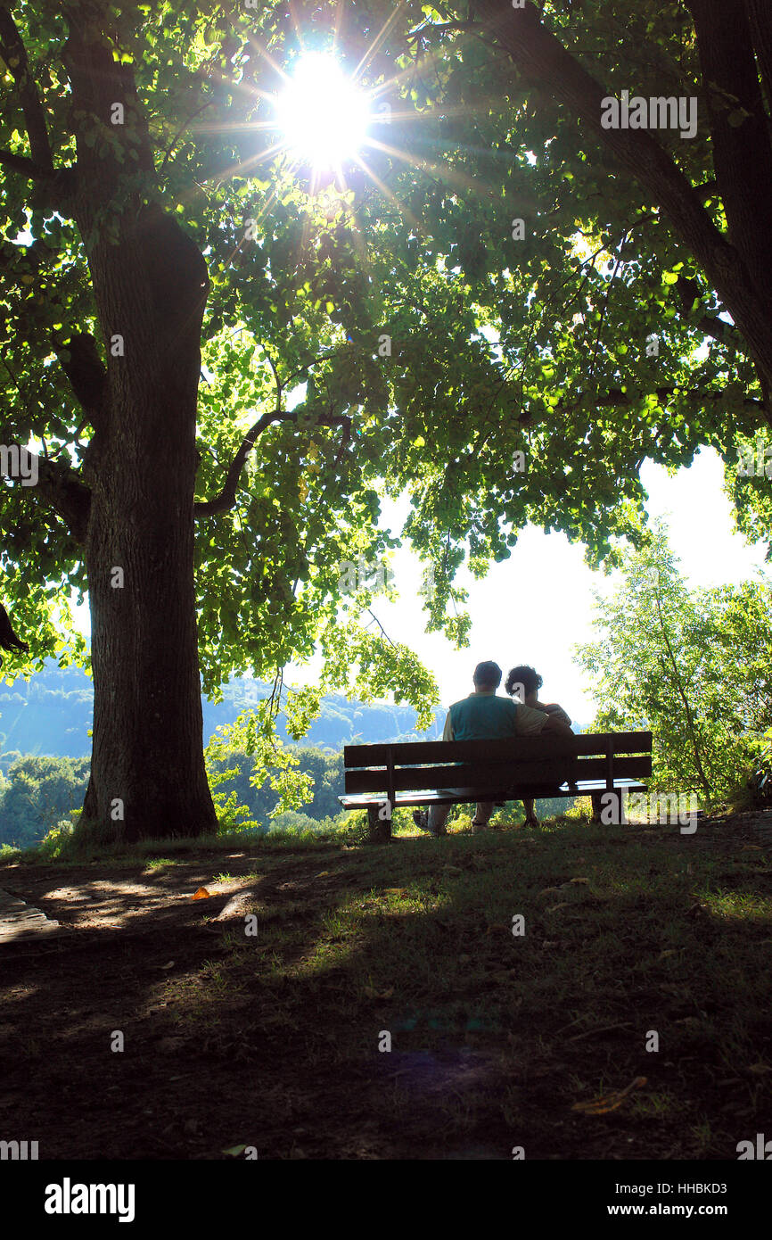 Pair of trees hi-res stock photography and images - Alamy