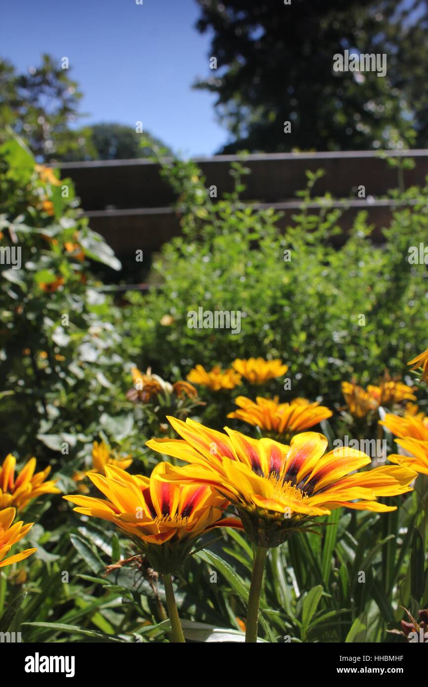 beautiful, beauteously, nice, environment, enviroment, colour, park ...