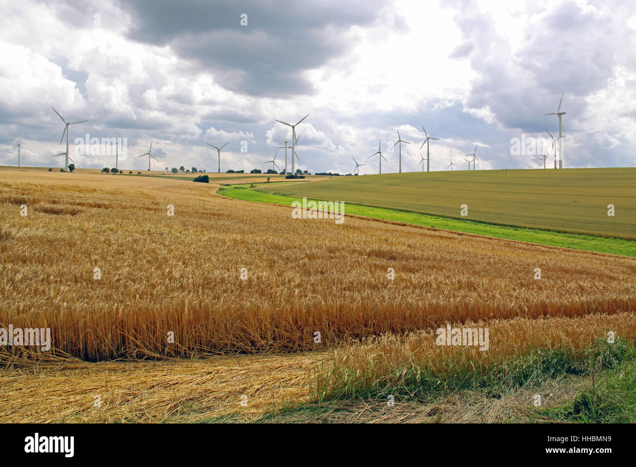 energy, power, electricity, electric power, corn field, wind energy ...