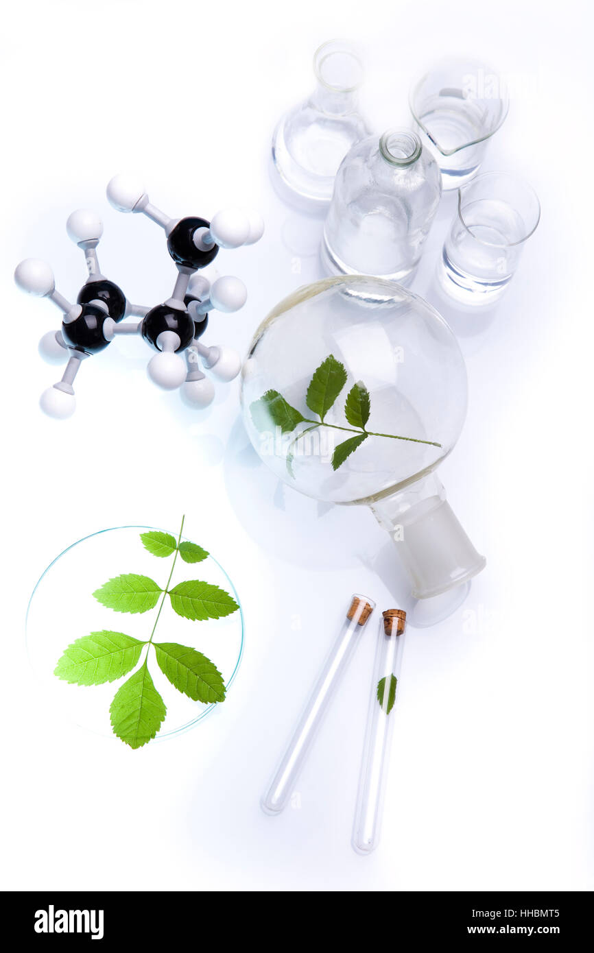 ecology, laboratory, chemistry, biology, chemical, biotechnology ...