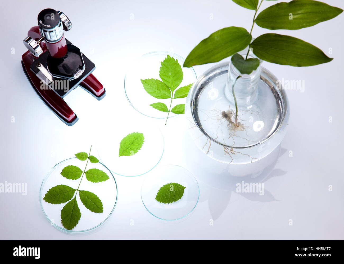 ecology, laboratory, chemistry, biology, chemical, biotechnology ...