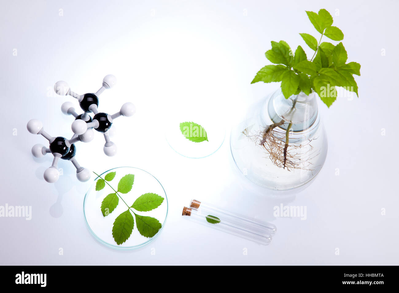 ecology, laboratory, chemistry, biology, chemical, biotechnology ...