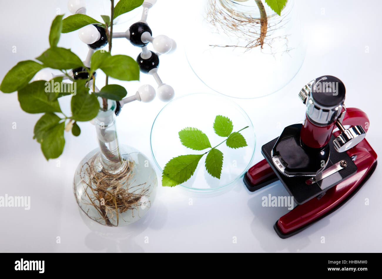 ecology, laboratory, chemistry, biology, chemical, biotechnology ...