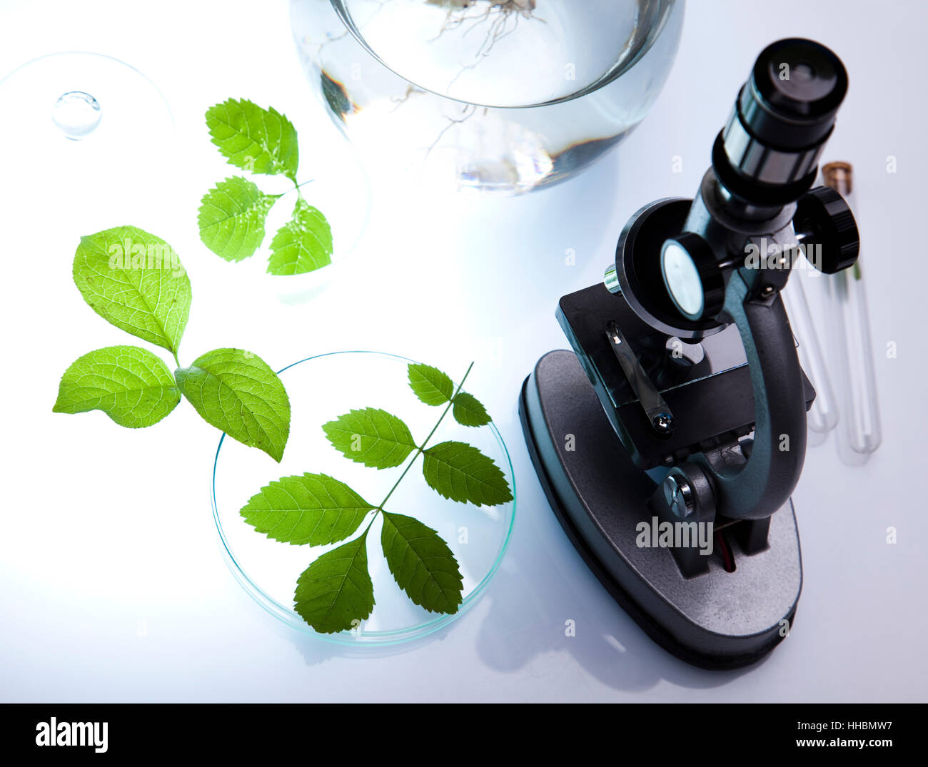 ecology, laboratory, chemistry, biology, chemical, biotechnology ...