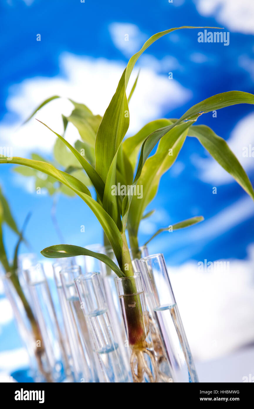 ecology, laboratory, chemistry, biology, chemical, biotechnology ...