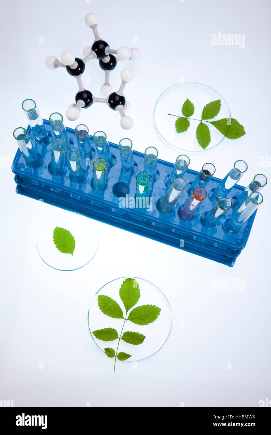 ecology, laboratory, chemistry, biology, chemical, biotechnology ...