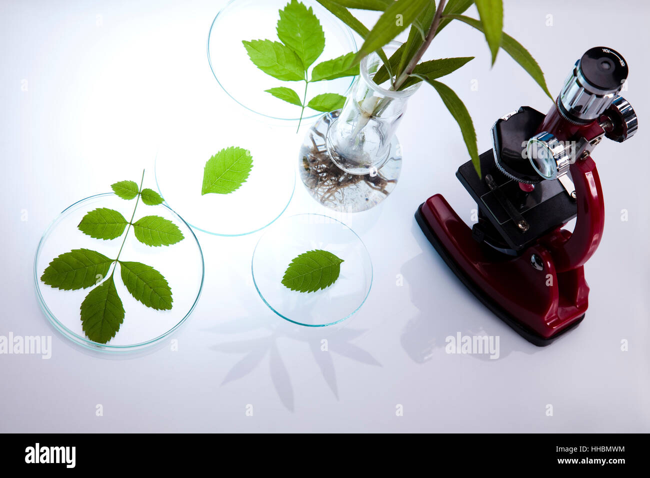 ecology, laboratory, chemistry, biology, chemical, biotechnology ...