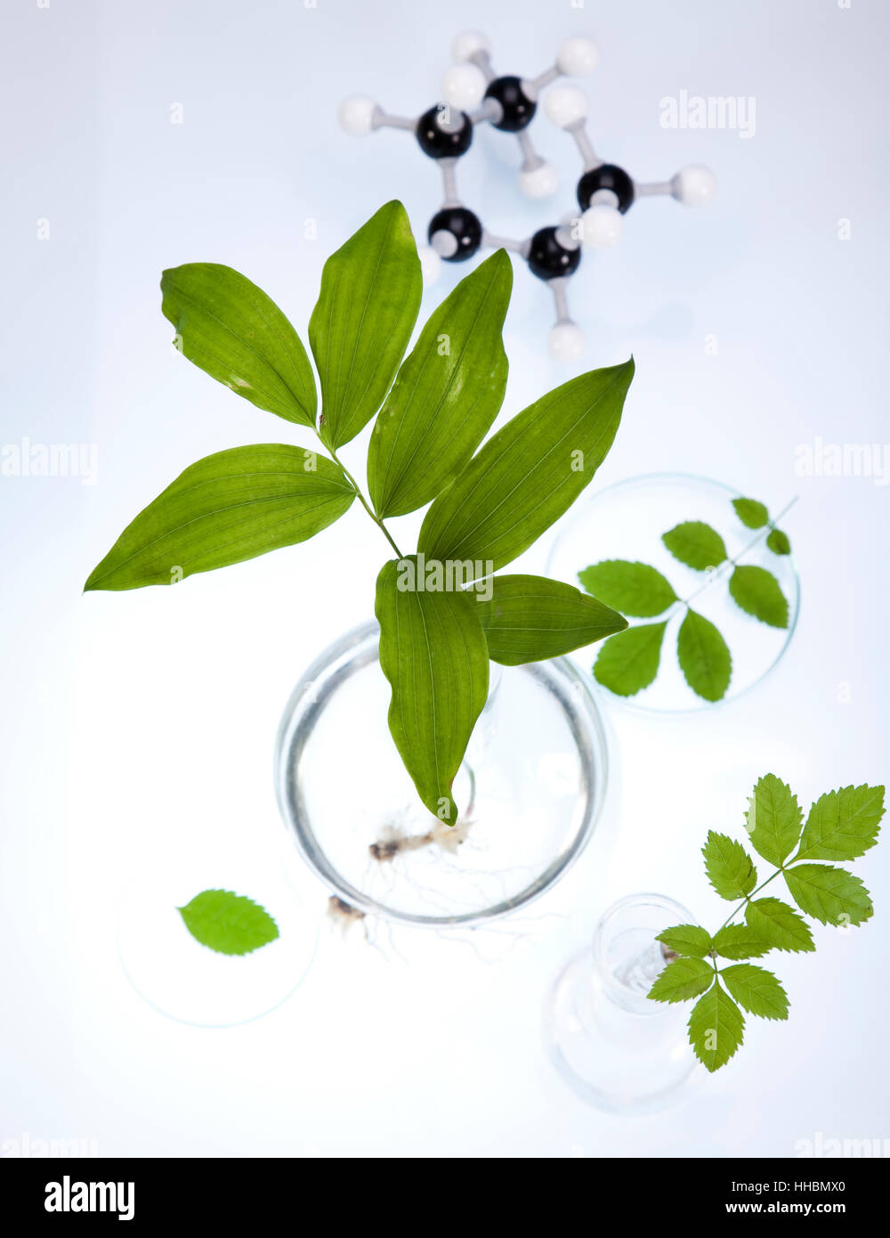 ecology, laboratory, chemistry, biology, chemical, biotechnology ...