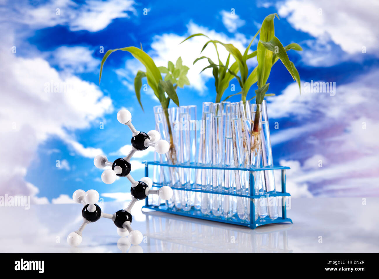 ecology, laboratory, chemistry, biology, chemical, biotechnology ...