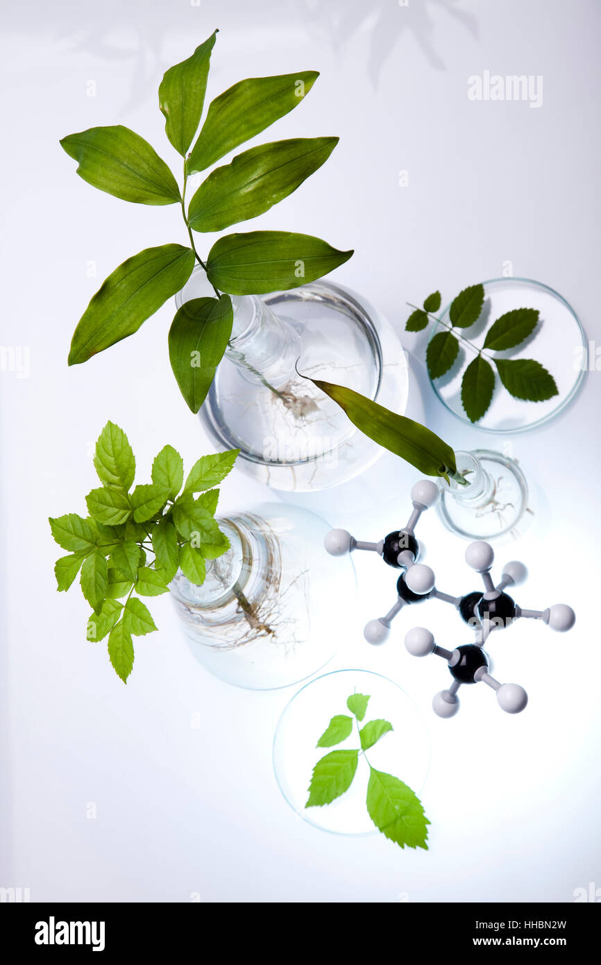 ecology, laboratory, chemistry, biology, chemical, biotechnology ...