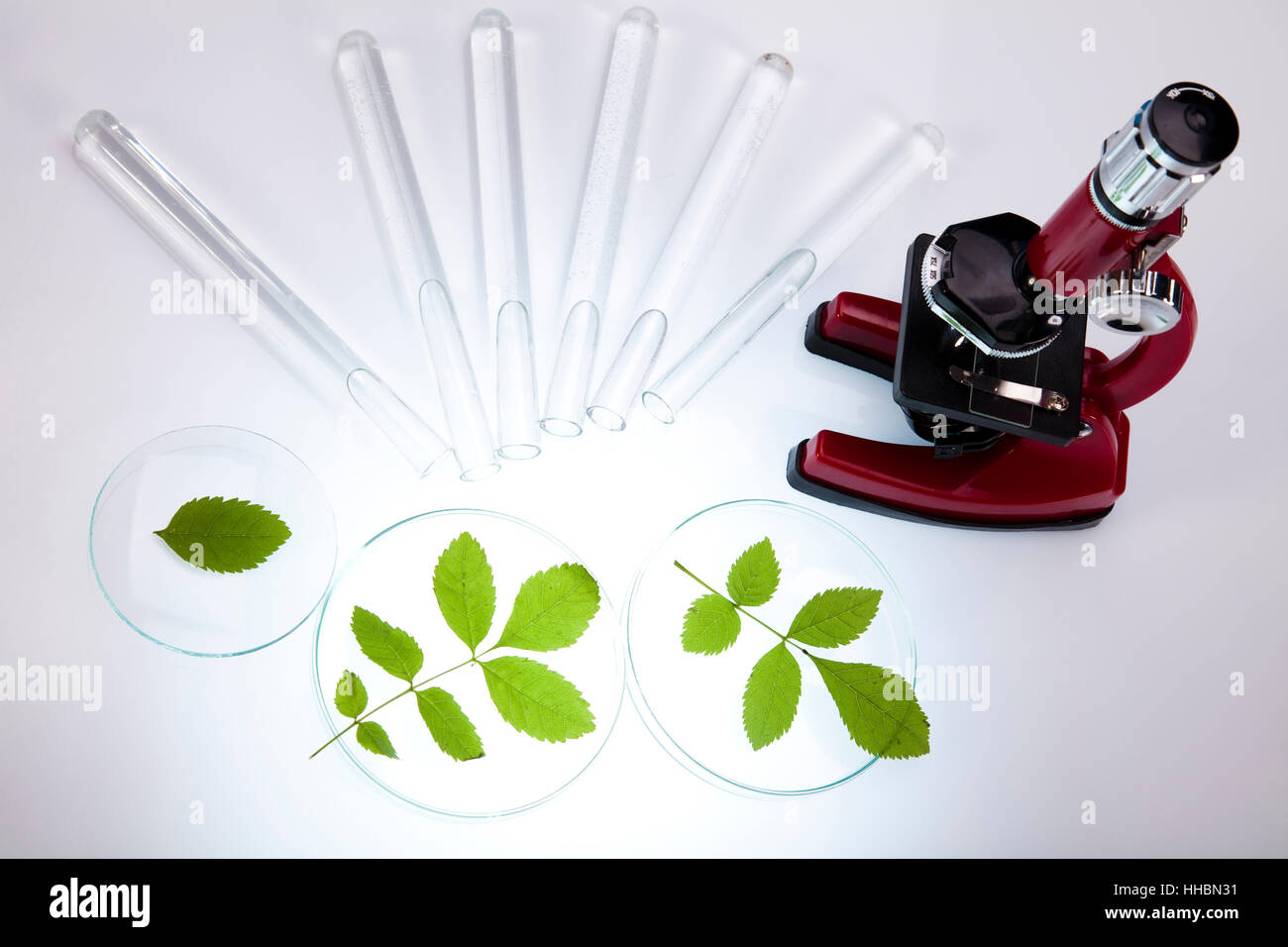 ecology, laboratory, chemistry, biology, chemical, biotechnology ...