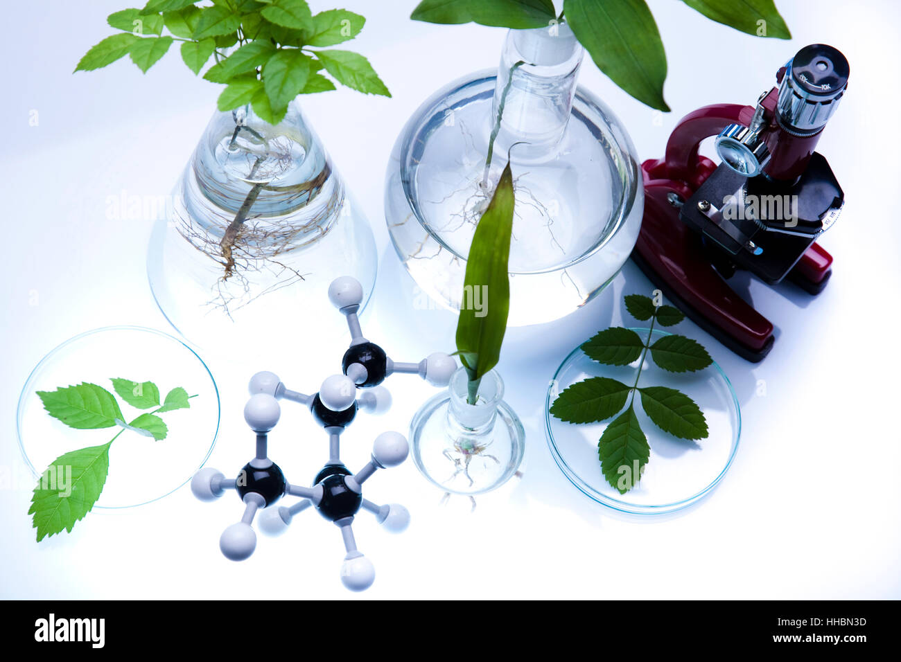 ecology, laboratory, chemistry, biology, chemical, biotechnology ...