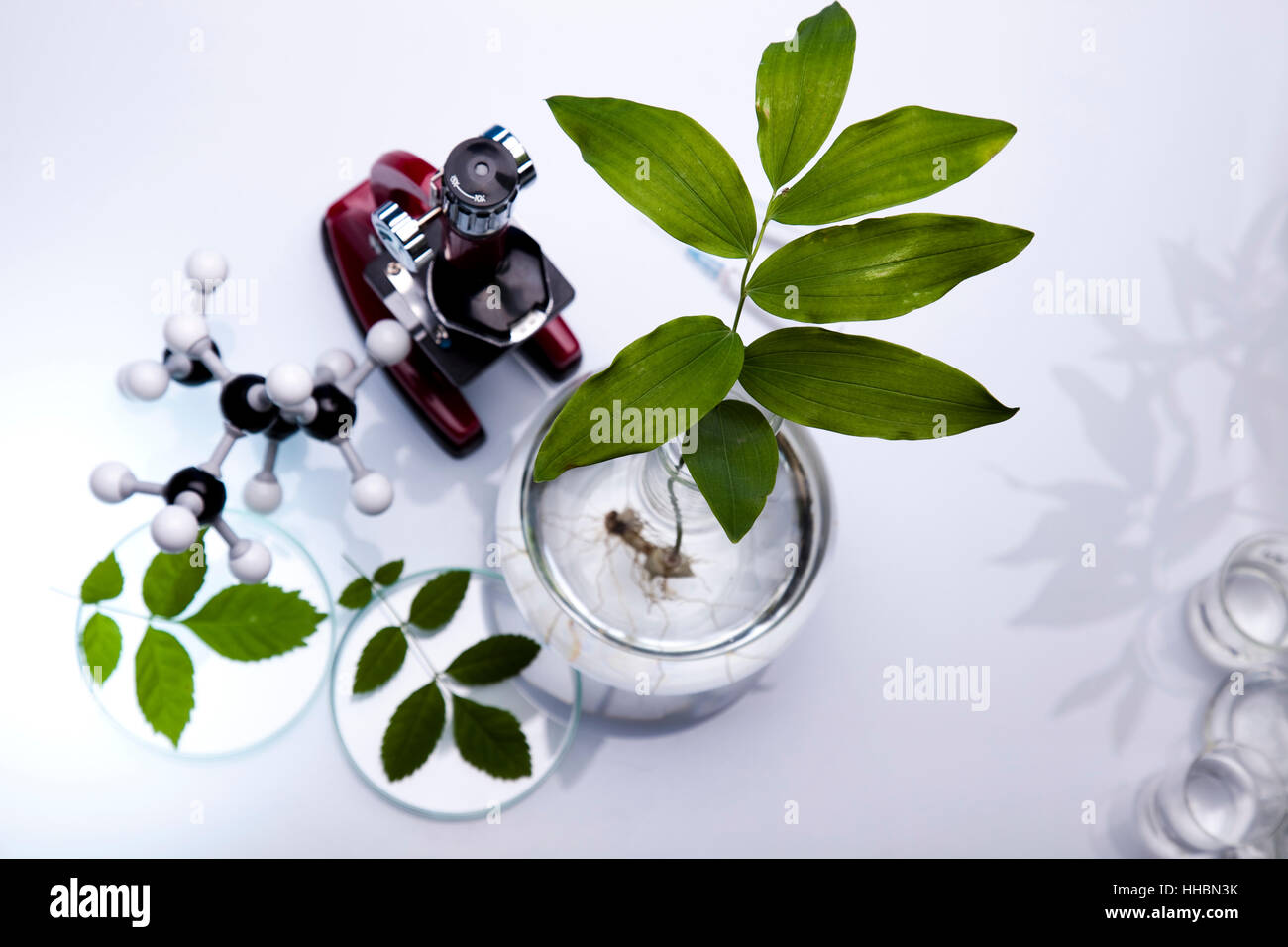 ecology, laboratory, chemistry, biology, chemical, biotechnology ...