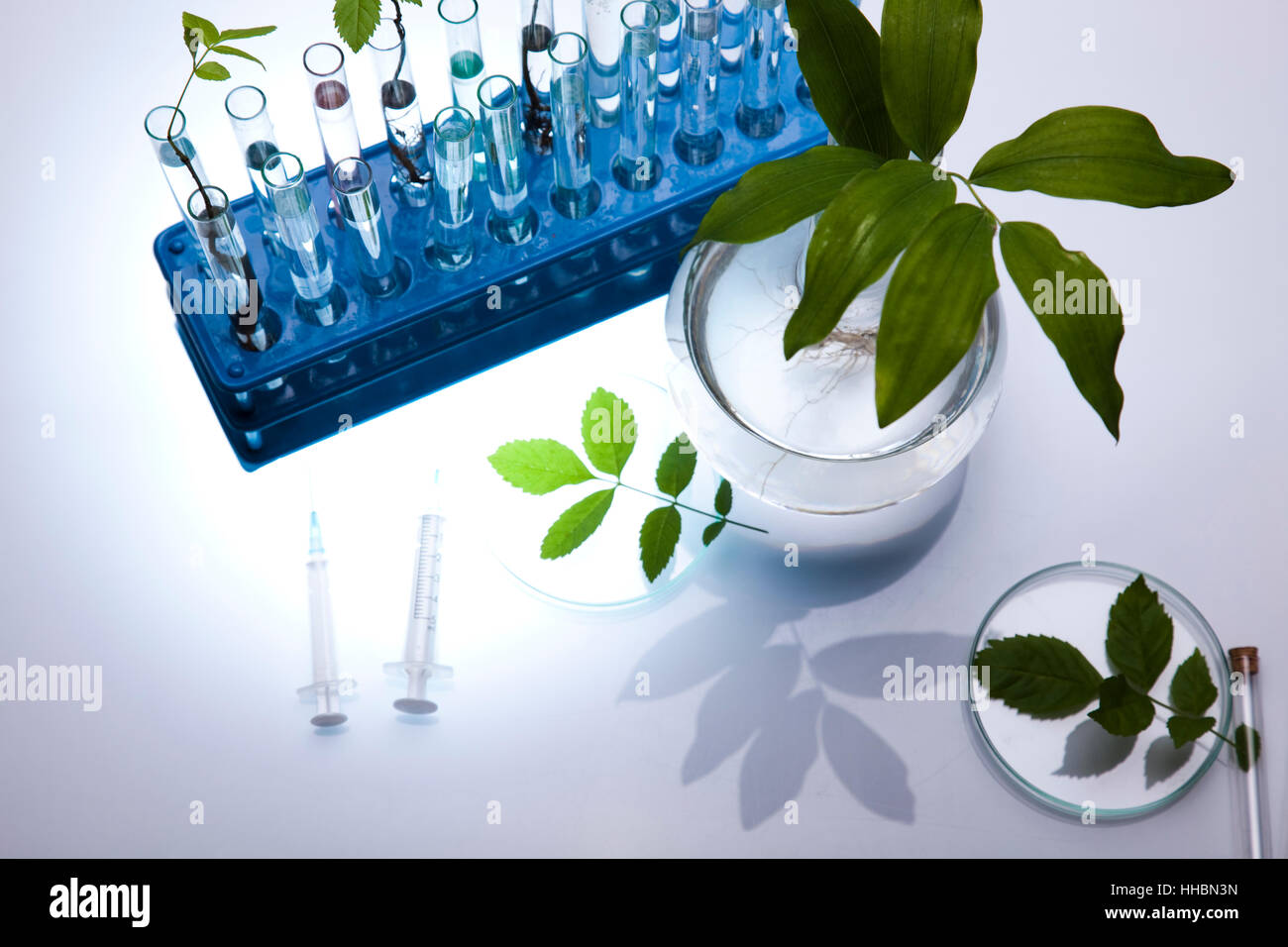 ecology, laboratory, chemistry, biology, chemical, biotechnology ...