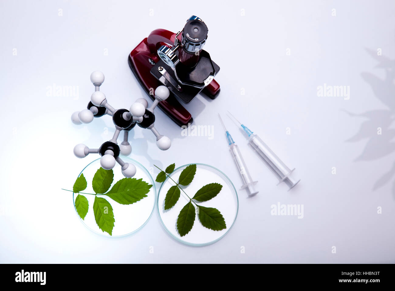 ecology, laboratory, chemistry, biology, chemical, biotechnology ...