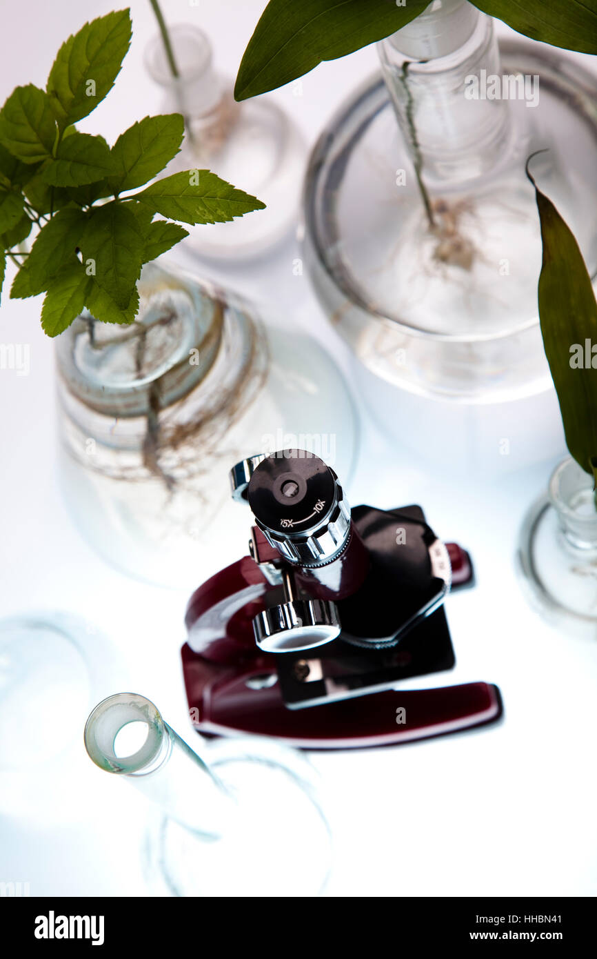 ecology, laboratory, chemistry, biology, chemical, biotechnology ...