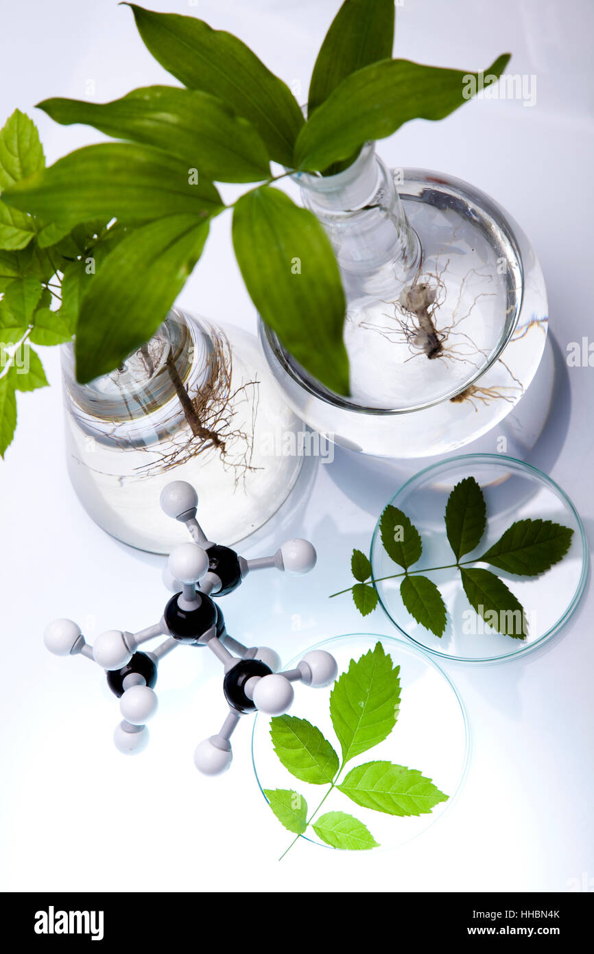 ecology, laboratory, chemistry, biology, chemical, biotechnology ...