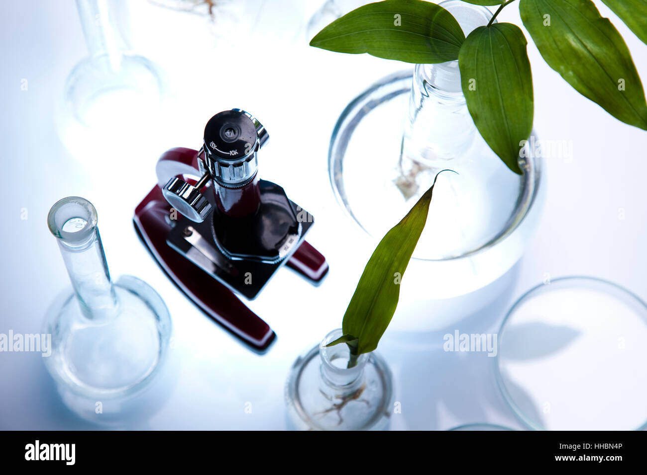 ecology, laboratory, chemistry, biology, chemical, biotechnology ...