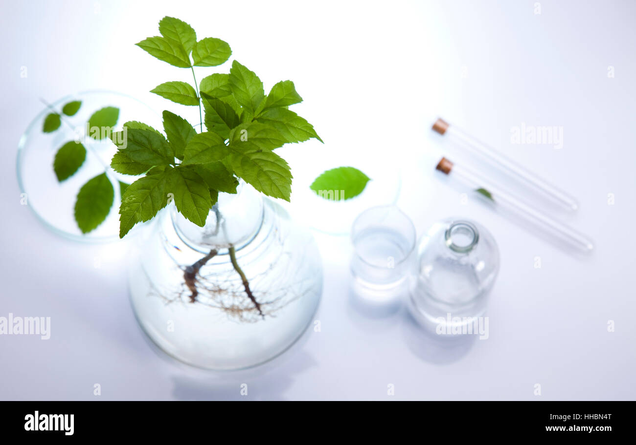 ecology, laboratory, chemistry, biology, chemical, biotechnology ...