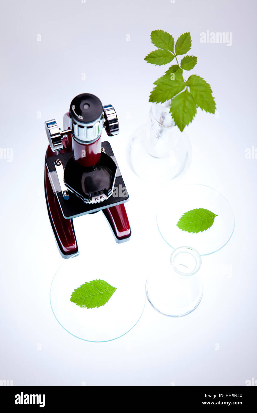 ecology, laboratory, chemistry, biology, chemical, biotechnology ...